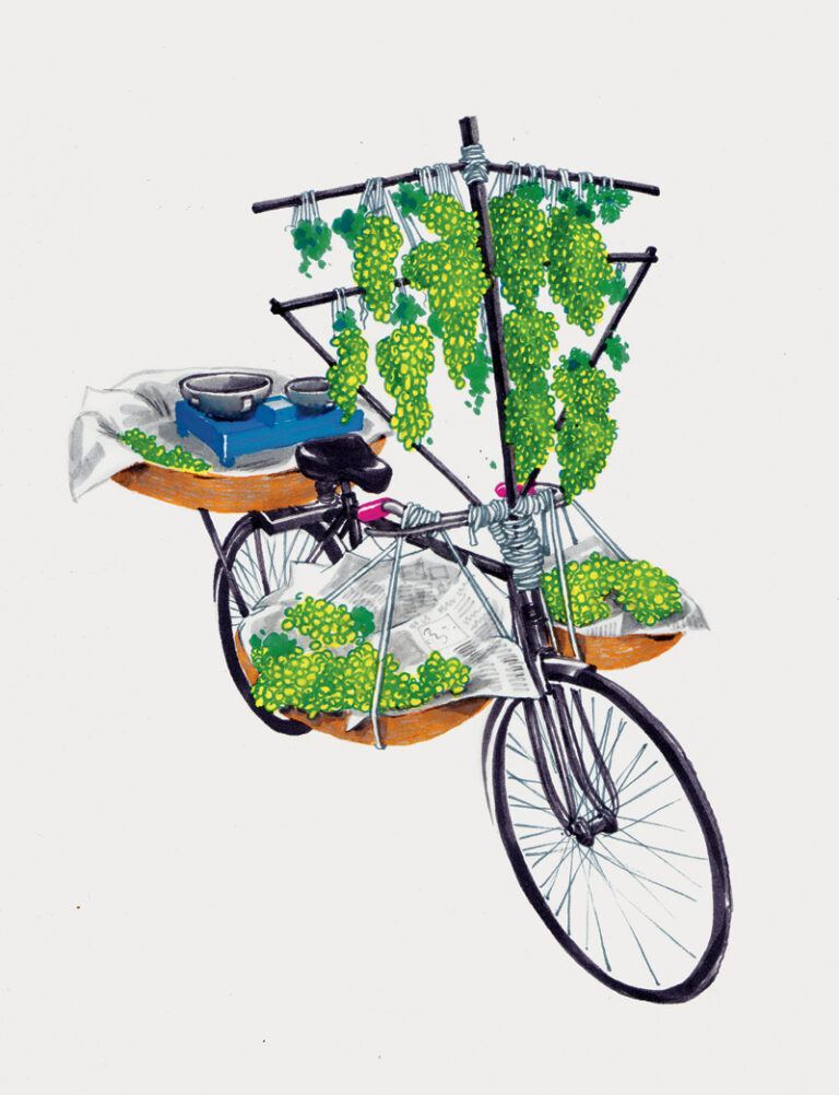 The Ghoda Cycle Project – Sameer Kulavoor